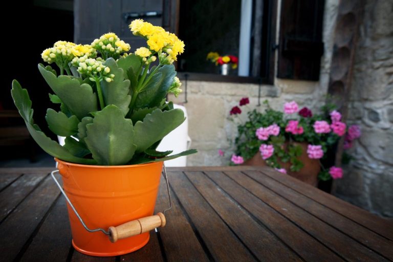 Photo Gallery | Leonidas Village Houses